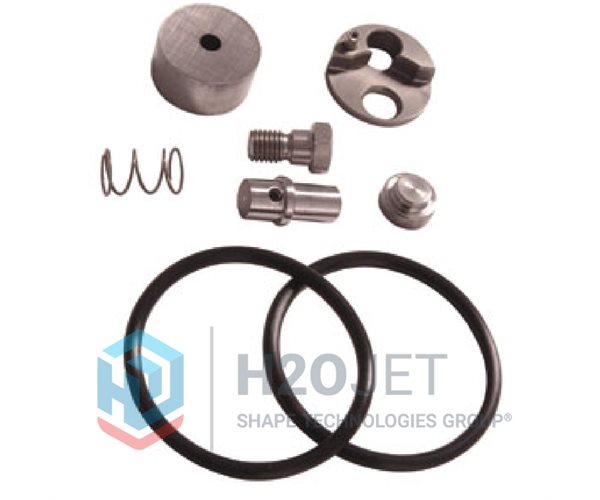 Check Valve Repair Kit #302003-1